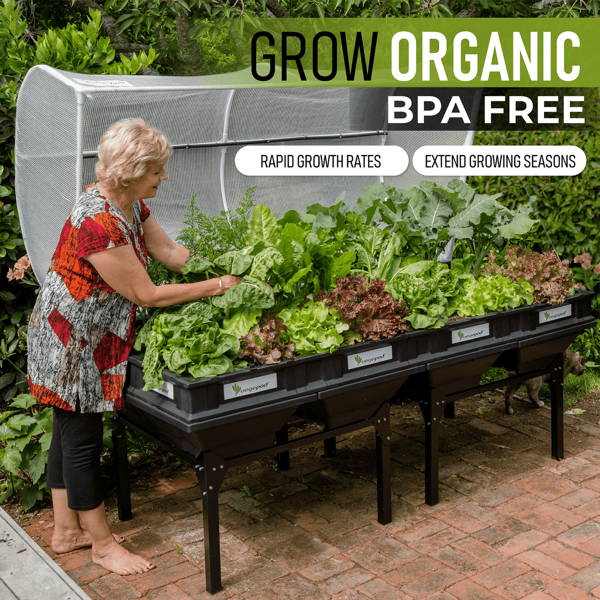 Large Starter Pack with Stand – Vegepod NZ