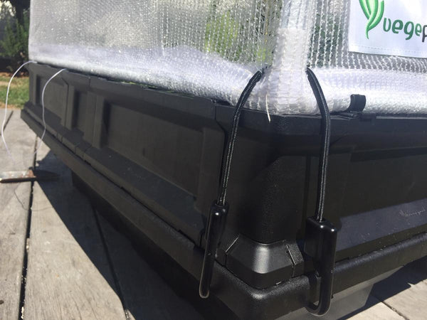 Vegepod Cover Wind Clips | Garden Bed Canopy Bungy Anchors | Vegepod NZ